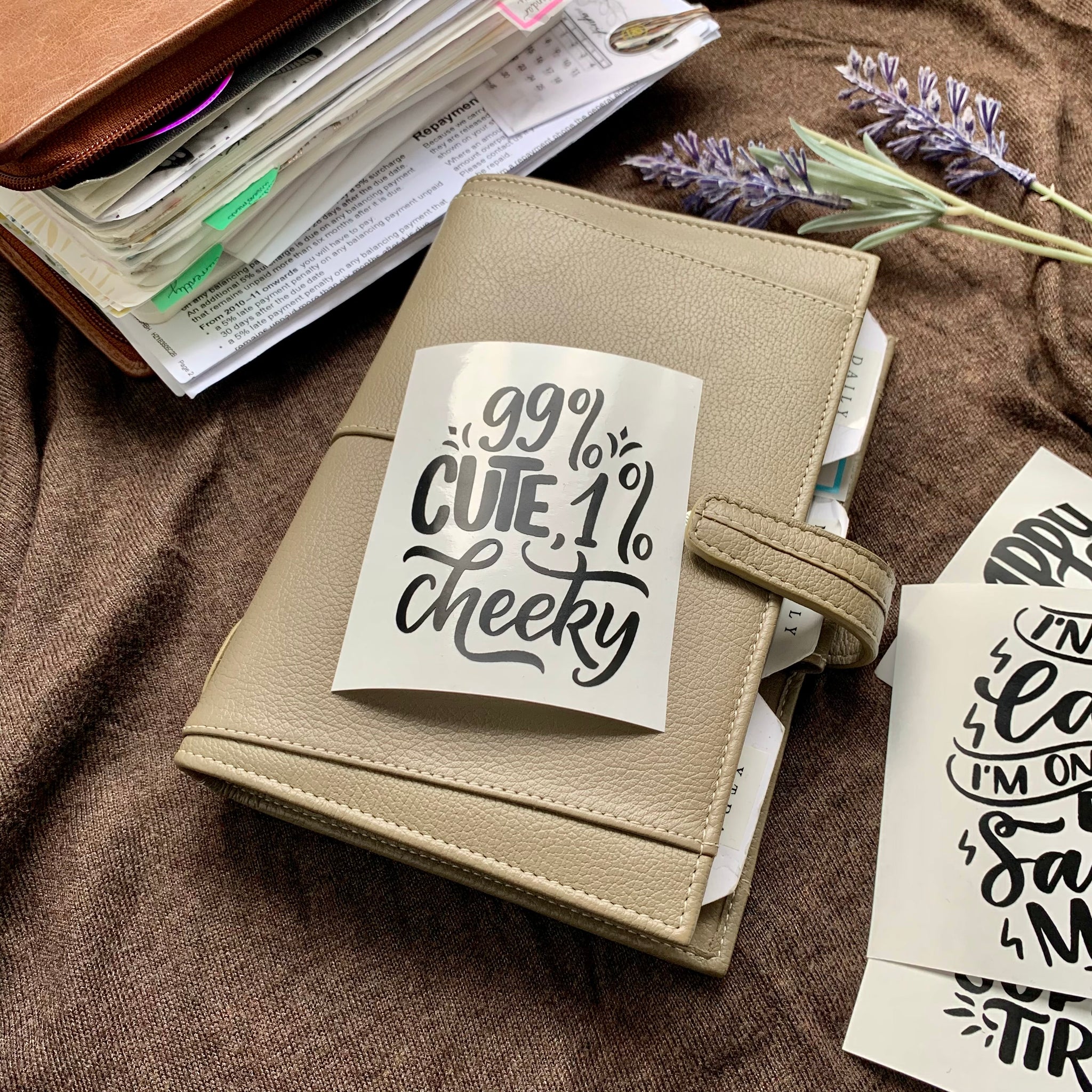 Cheeky Quotes- Vinyl Sticker Set – BrookeEvahPrints